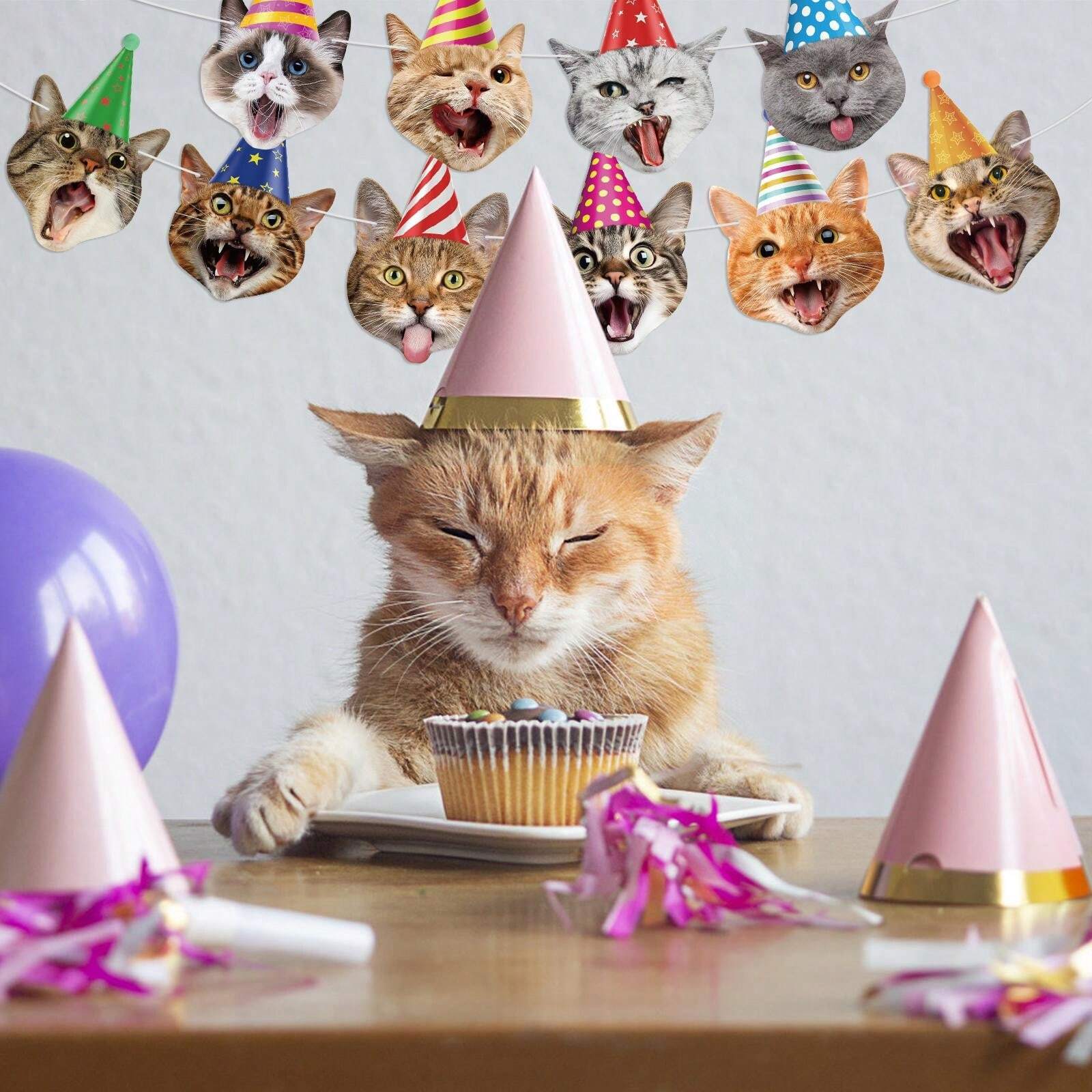 Fowecelt Cat Birthday Decorations Cat Happy Birthday Banner For ...