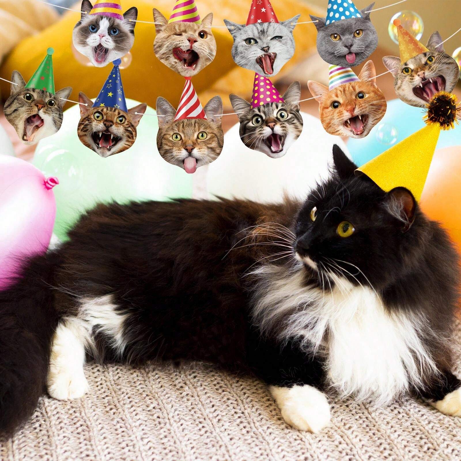Fowecelt Cat Birthday Decorations Cat Happy Birthday Banner For ...