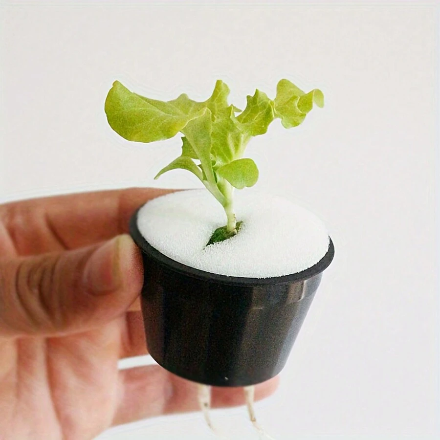 10 Piece Of Hydroponic Planting , Circular, Polyurethane Material ...