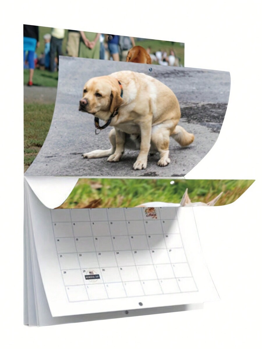 A Pack Of 2024 Dog Poop Calendar Fun New Year Calendar Hanging Calendar ...
