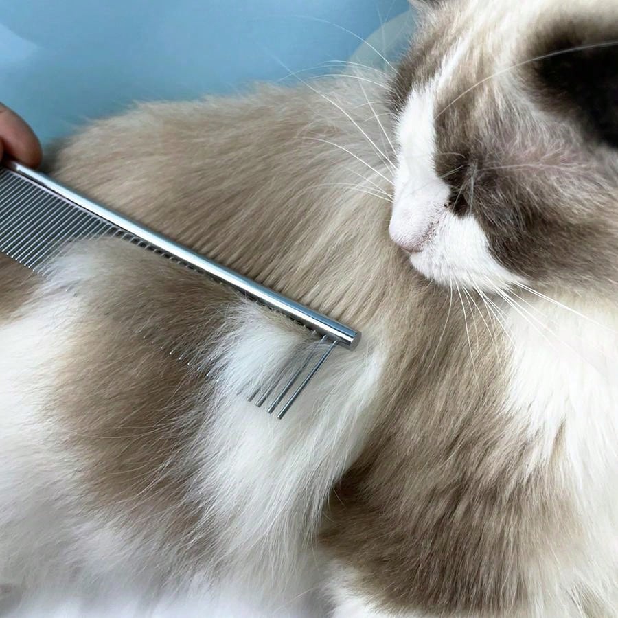 Pet Dog Comb Teddy Cat Row Comb Compared To Bear Gold Hair Float ...