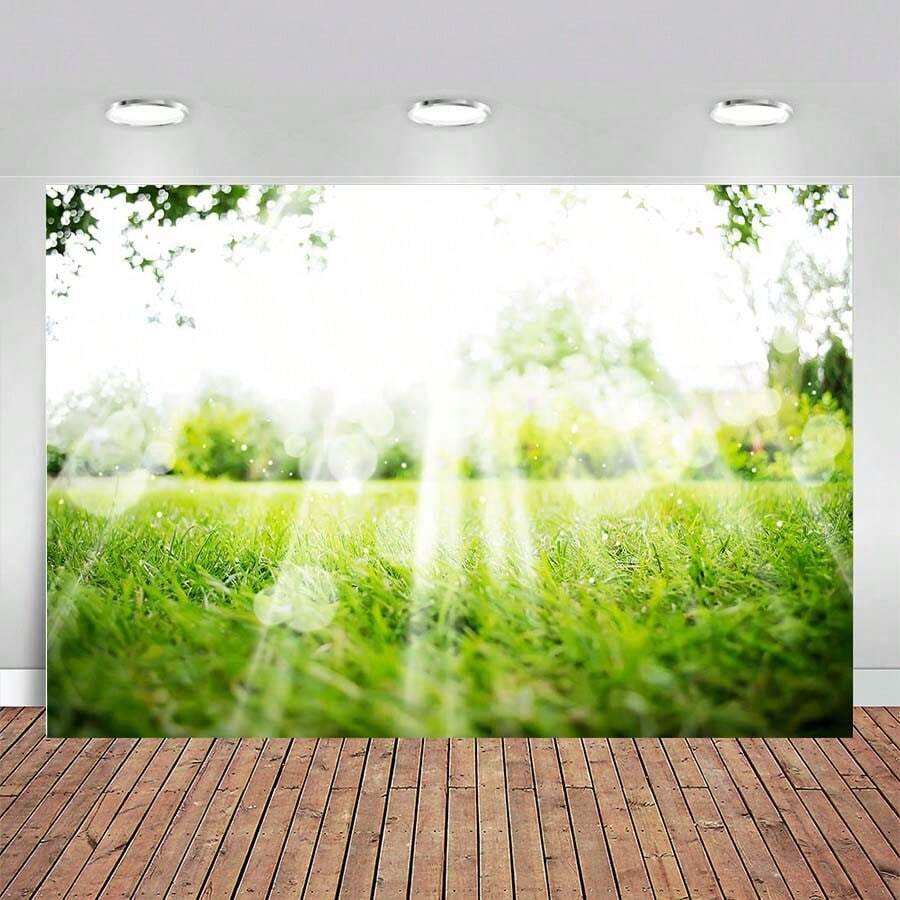 Spring Natural Scenic Sunshine Butterfly Forest Mushroom Adventure ...