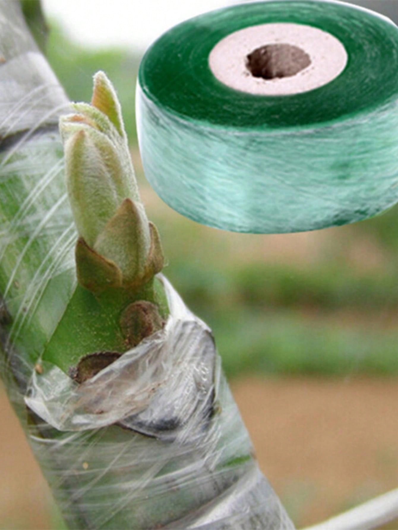 100m Pvc Película Para Injertos Para Árboles Frutales - Película De ...