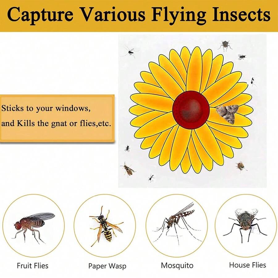 40pcs Window Fly Traps, Flower Design Insect Traps For Flies And Bugs ...