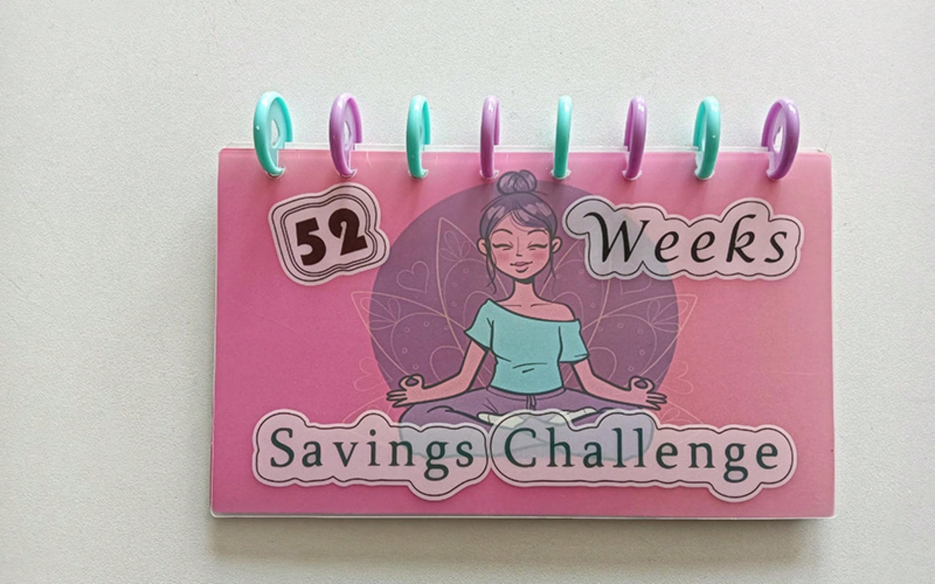 2024 New 52 Week Loose Page Budget Planner Budget Loose Page Clip Money ...