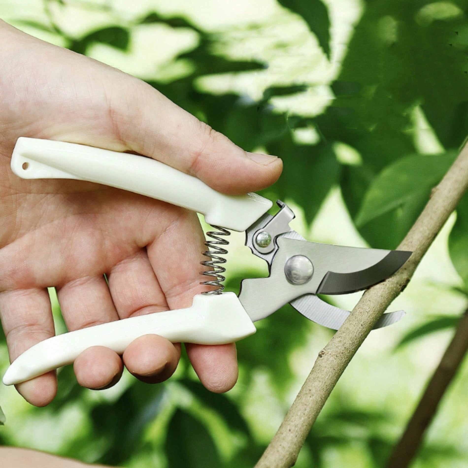 Gardening Pruning Shears, Garden Scissors With Curve/Straight Head ...