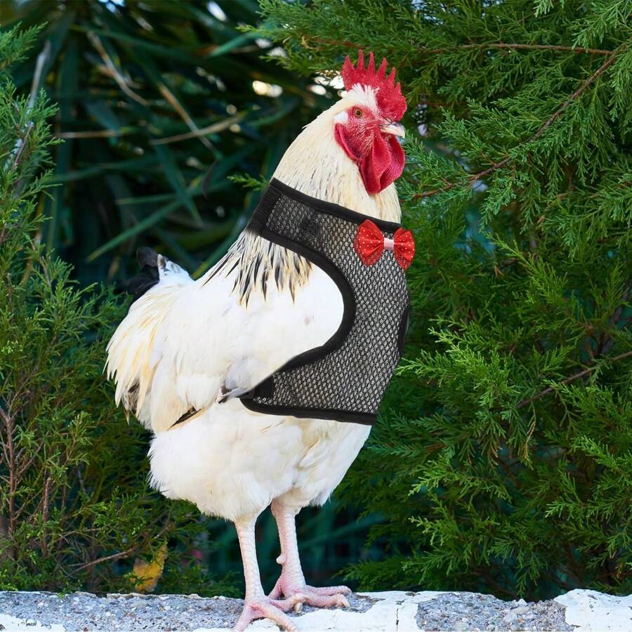 Poultry Pulling Rope For Chicken, Duck And Goose - Chest Back Hand ...