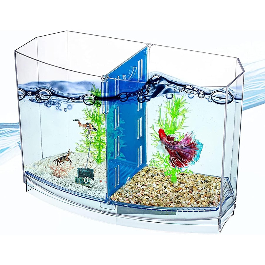Mini Plastic Fish Tank For Aquarium Hobbyist, With Separation Box ...