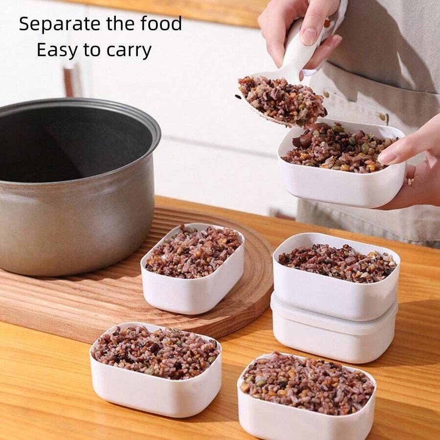 Multipurpose Food Divided Container Bento Box | SHEIN USA