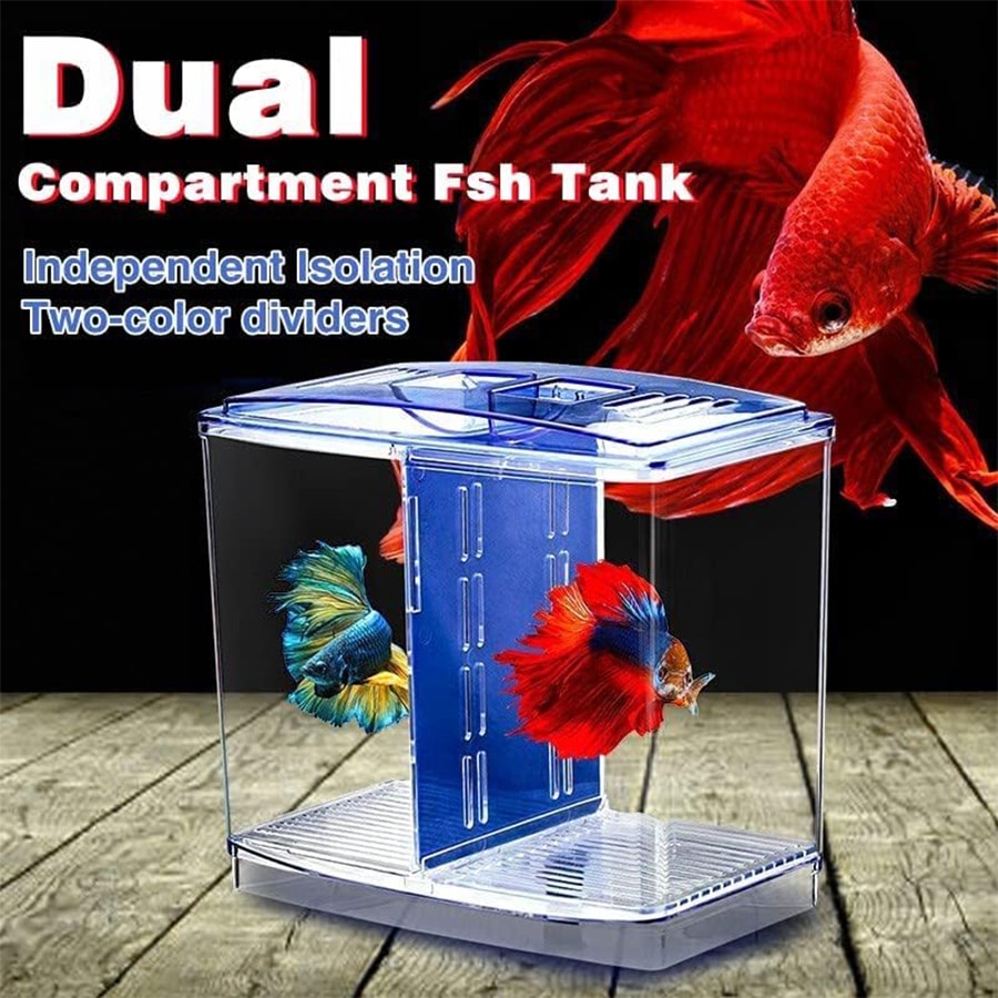 Mini Plastic Fish Tank For Aquarium Hobbyist, With Separation Box ...