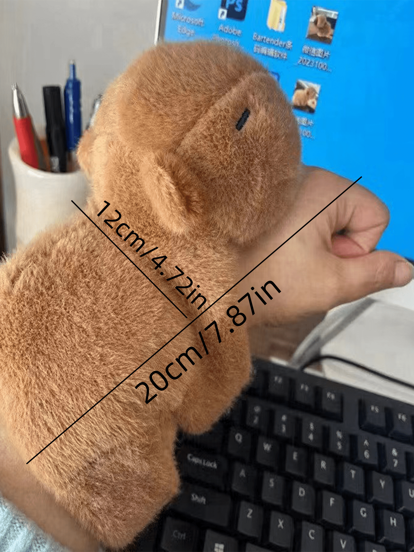 Cartoon Capybara Plush Toy, Cute And Soft Hugging Capybara Doll With ...