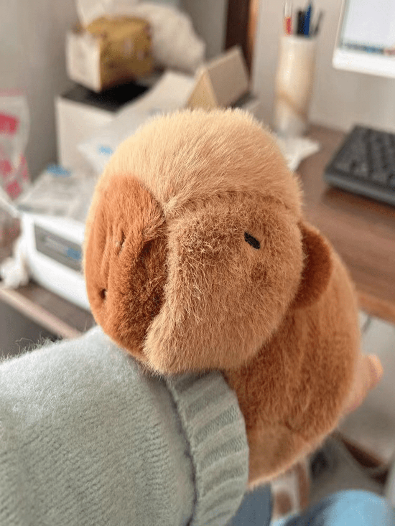 Cartoon Capybara Plush Toy, Cute And Soft Hugging Capybara Doll With ...
