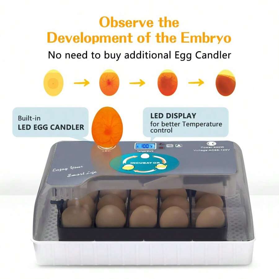 12-Egg Incubators For Chickens, Portable Small Egg Candler, Automatic ...