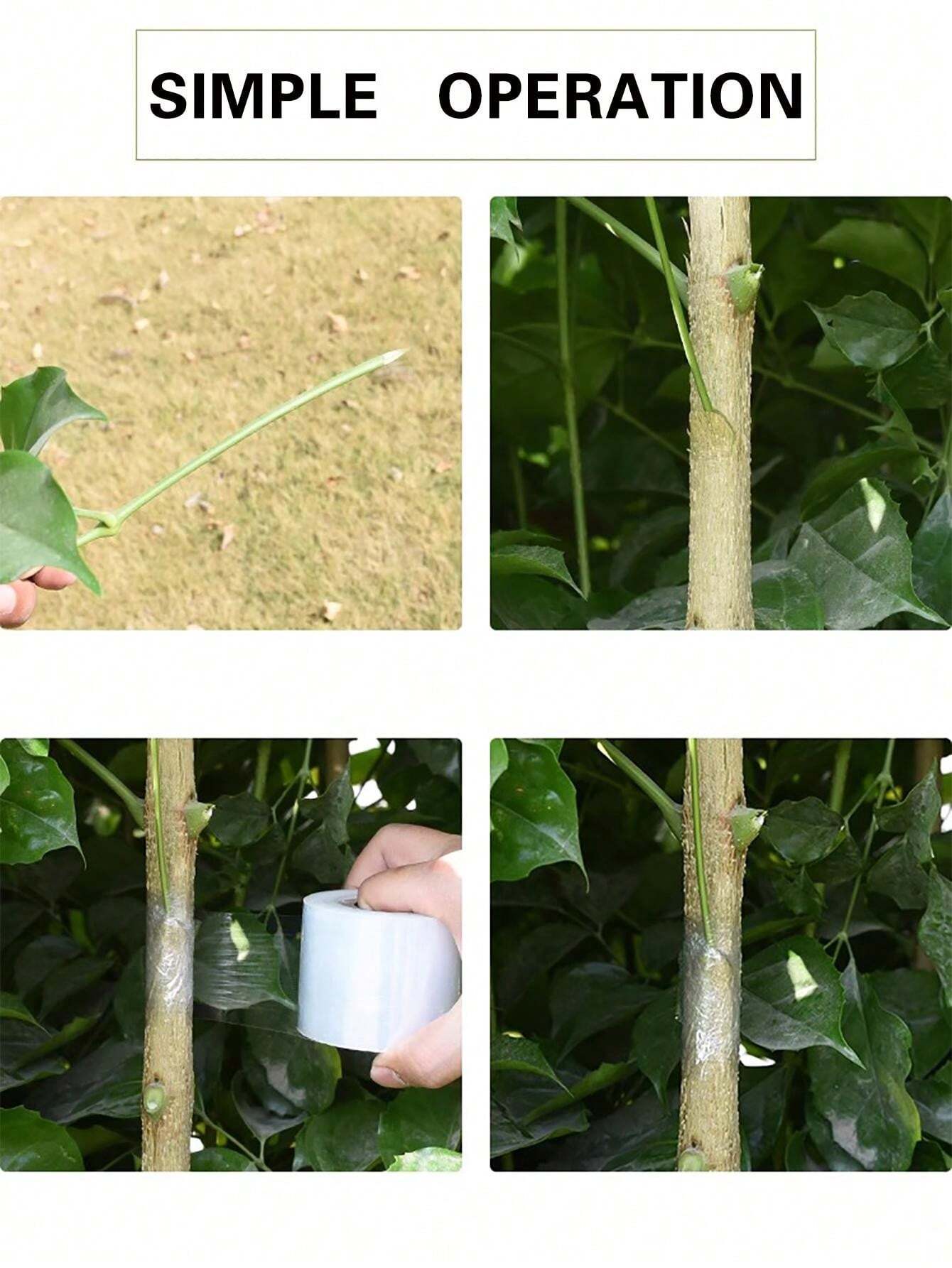 Self-Adhesive Fruit Tree Grafting Film Flexible Stretchable Plant ...