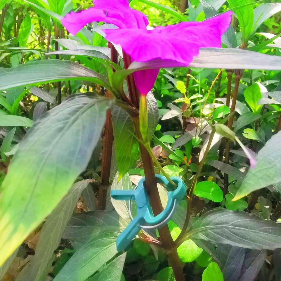 101Pcs Plant Clips Set Including 20pcs Adjustable Plant Ties With 17cm ...