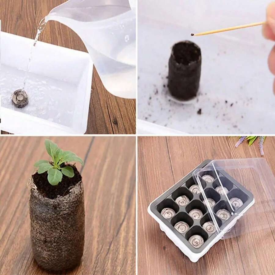 10pcs Seedling Compressed Nutrient Blocks, For Growing Plants, Trees ...