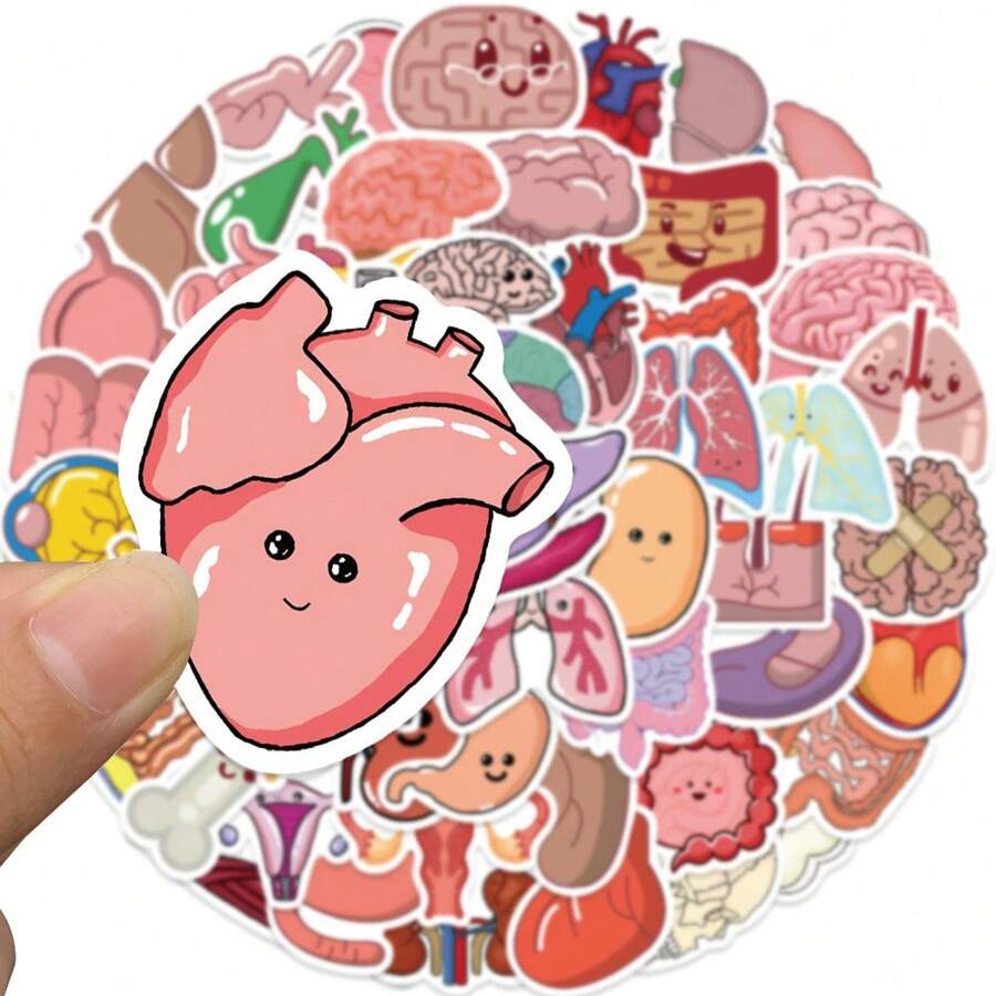 65pcs/Pack Human Body Organ Stickers With Cute Cartoon And Interesting ...
