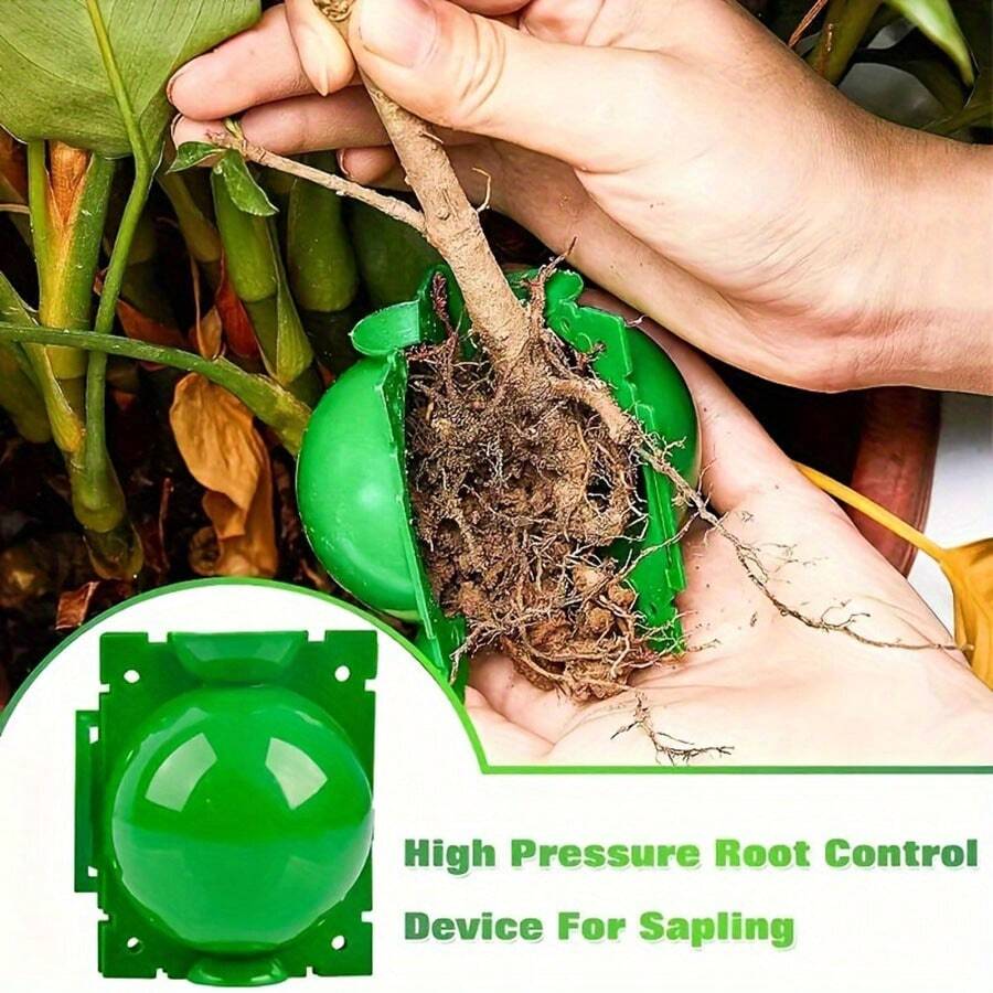 10pcs Thickened Style Ball Stem Planter Tree Root Growth Box, Rooting ...