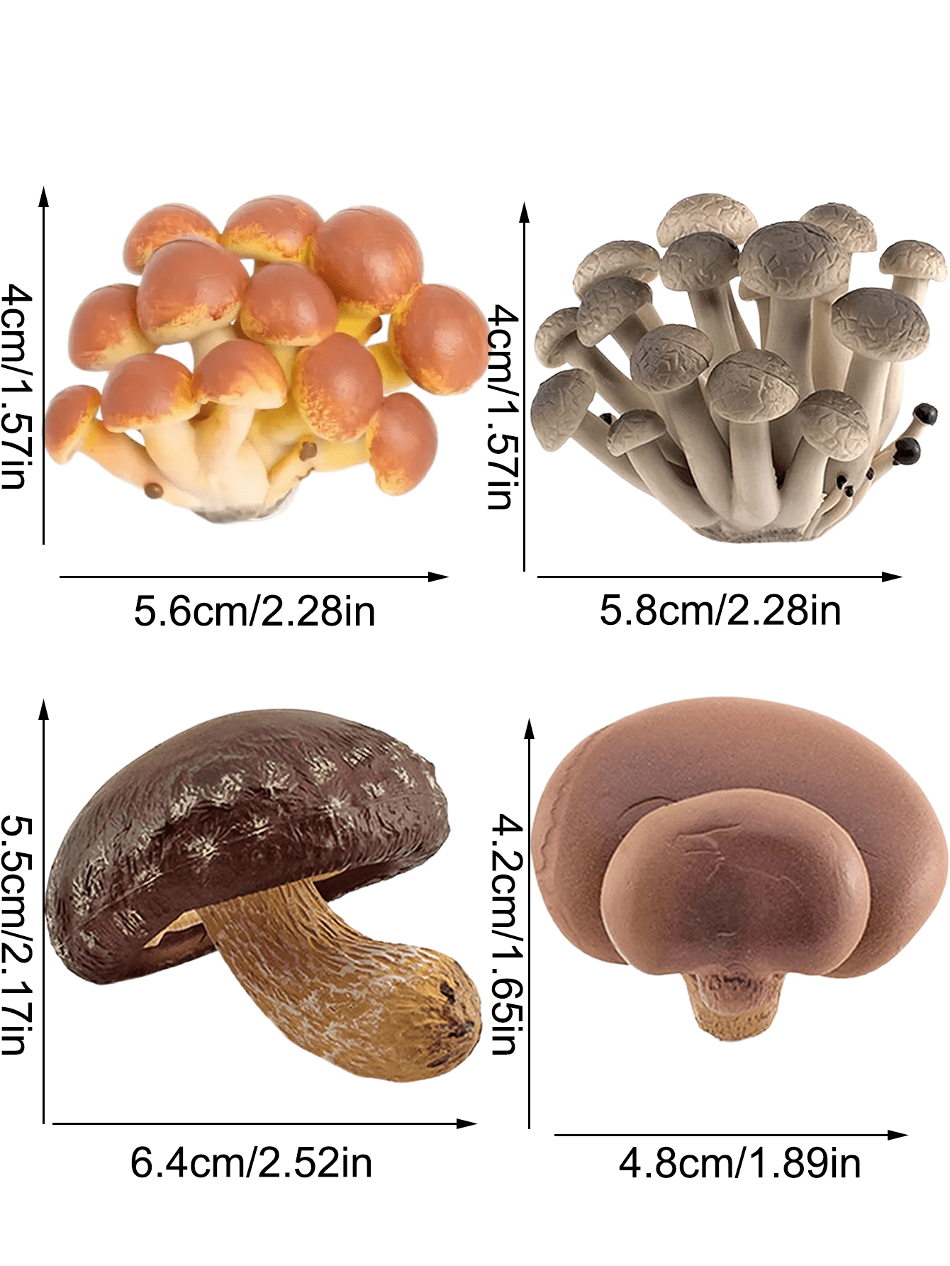 Simulation Plant Mushroom Model Toys, Realistic Mini Life Cycle Of ...