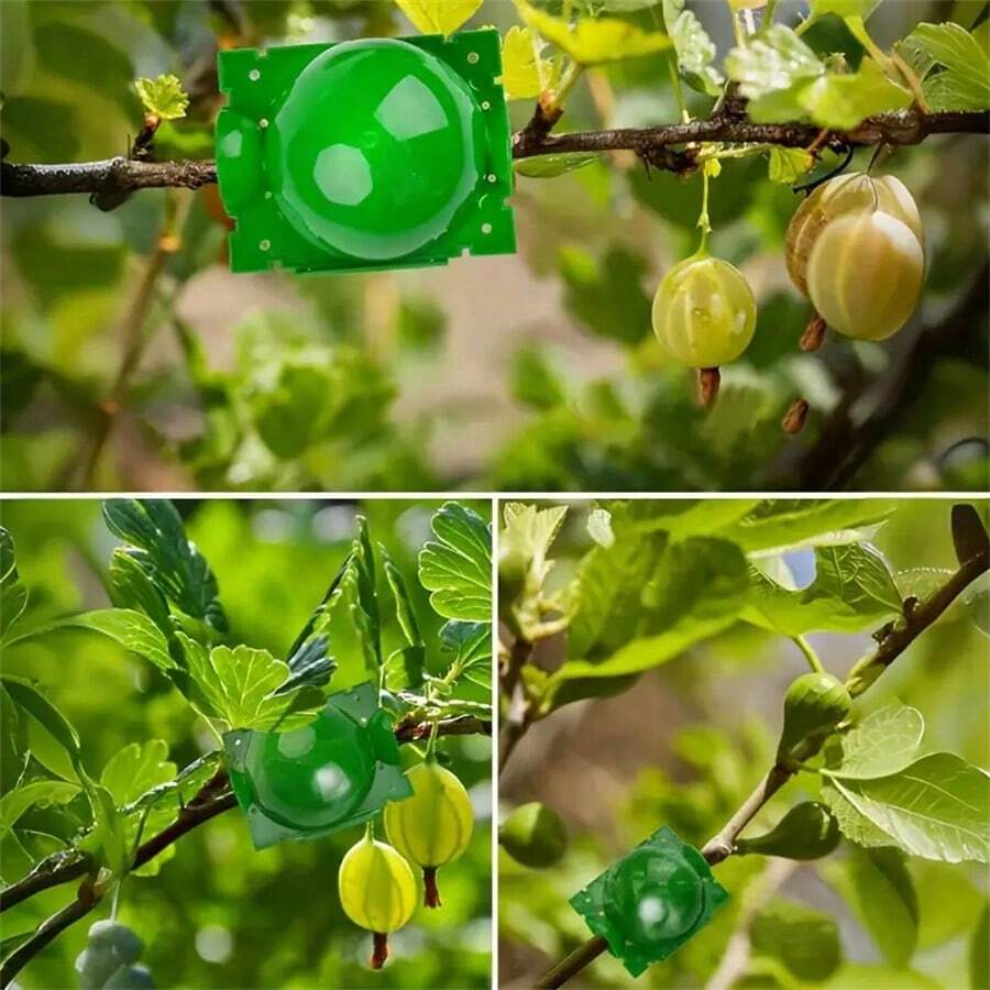 1pc/10pcs Tree Root Planting Box, Rooting Ball Transplant Tool ...