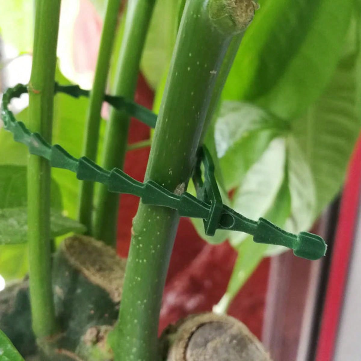 30pcs 23cm Multi-Purpose Green Tie Tree Vine Plastic Fixed Gardening ...