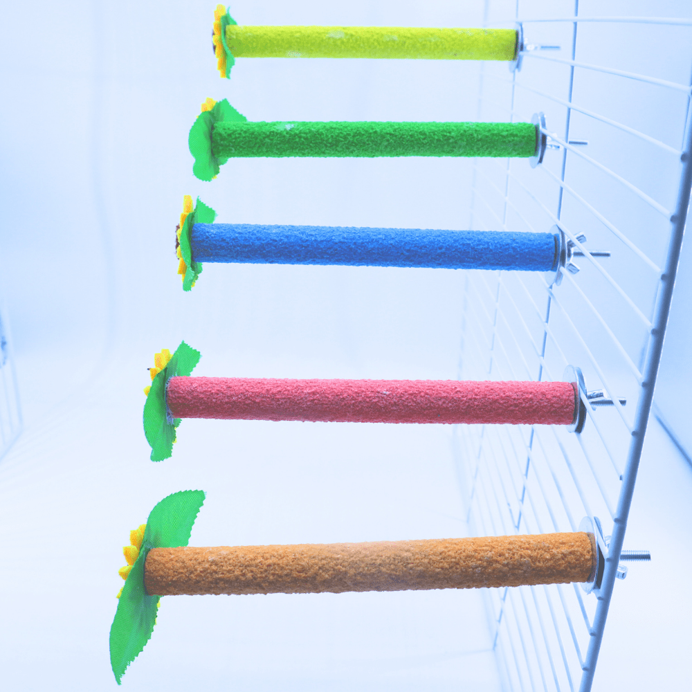 Parrot Standing Pole Toy, Colorful Perching Stand With Sanding Surface ...