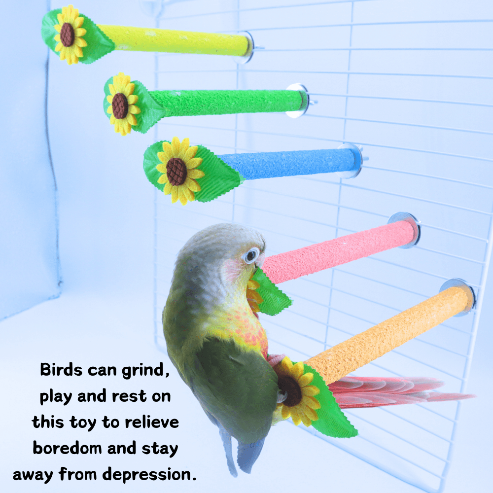 Parrot Standing Pole Toy, Colorful Perching Stand With Sanding Surface ...