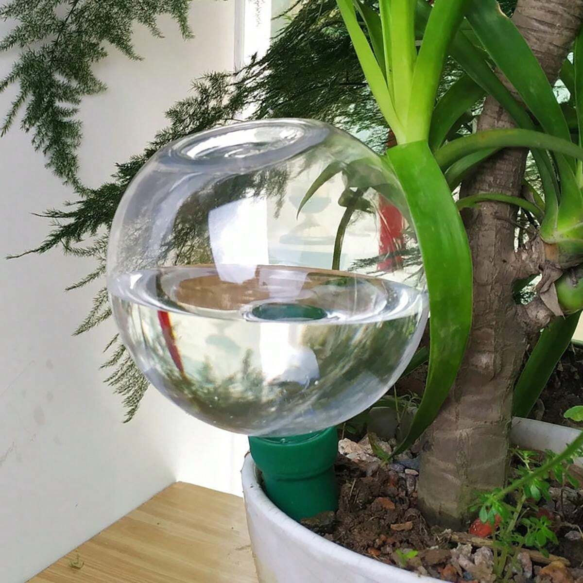 Automatic Watering Ball Shaped Device For Houseplants, Cactus And ...