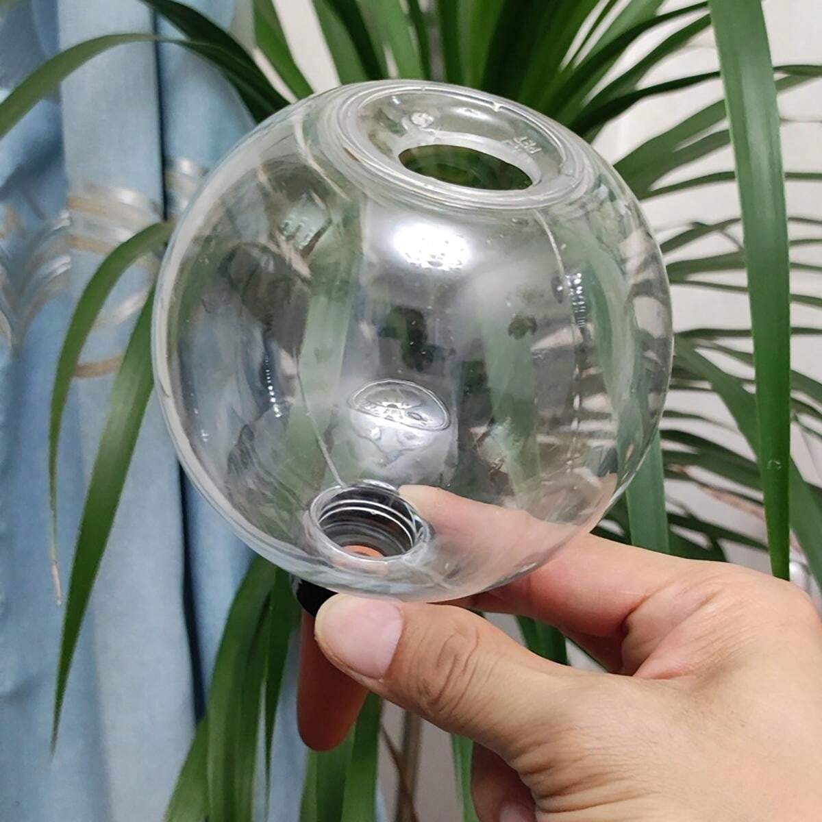 Automatic Watering Ball Shaped Device For Houseplants, Cactus And ...