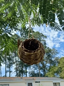 1 Stück Vogelnest Aus Gras Im Ball Form, Warmes Handgewebtes Stroh ...