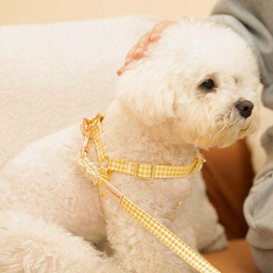 PETDORA Plaid Lace Pet Harness, Suitable For Pomeranian, Teddy And ...