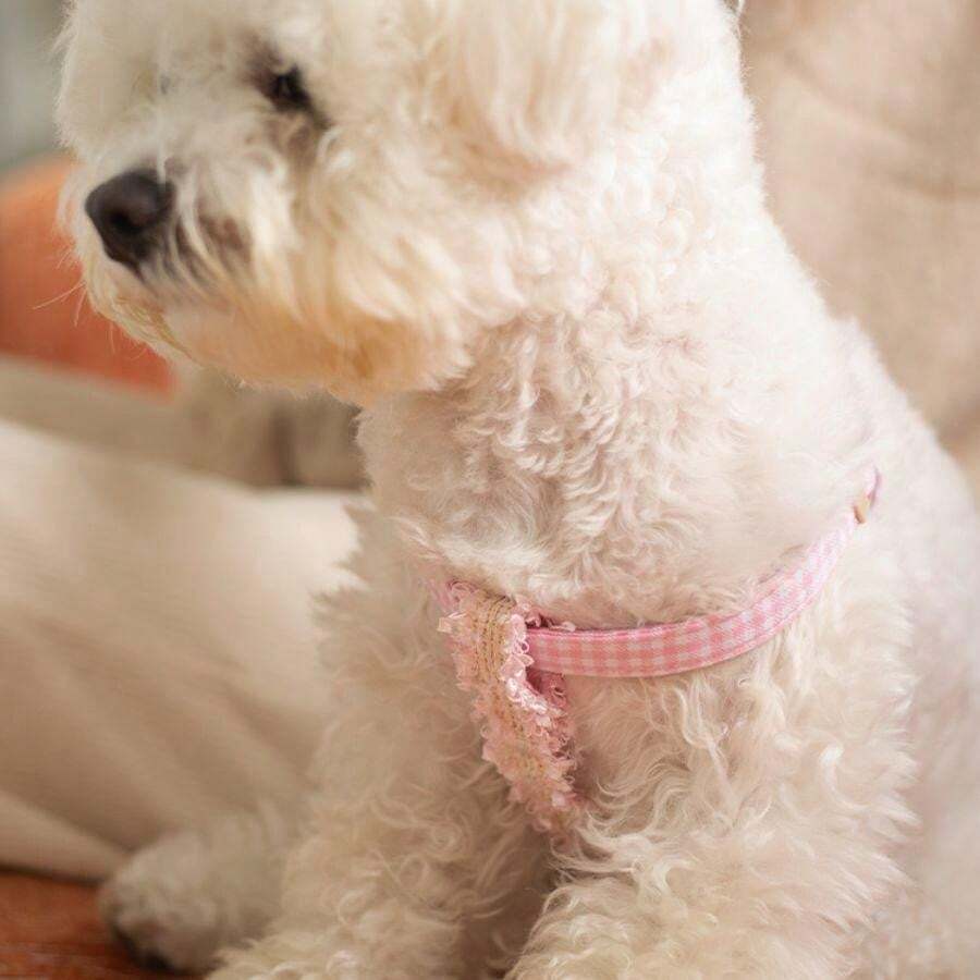 PETDORA Plaid Lace Pet Harness, Suitable For Pomeranian, Teddy And ...