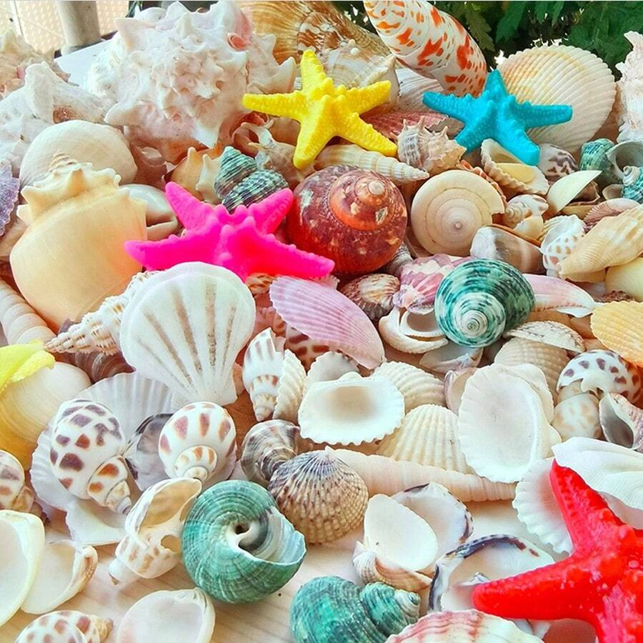 250g Natural Seashell Handicraft Material, Birthday Gift, Mother's Day ...