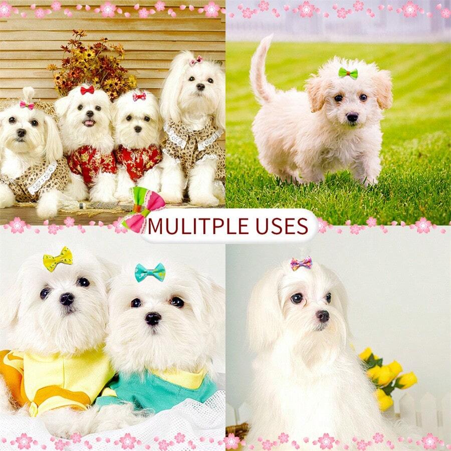 10 Mixed Pet Hair Clips | SHEIN USA