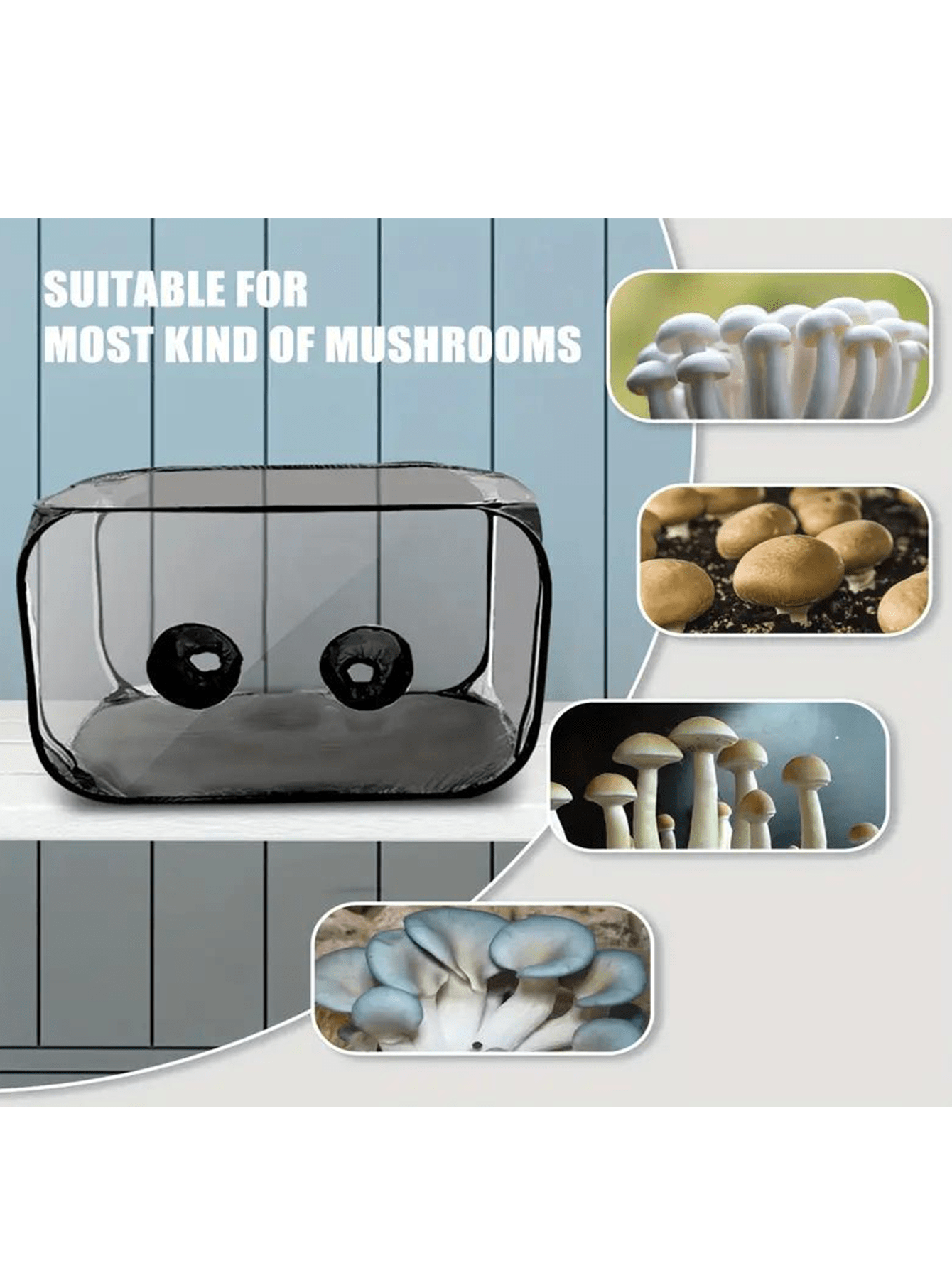 1 PVC Mushroom Growing Static Air Box For Table Tops, Windowsills ...