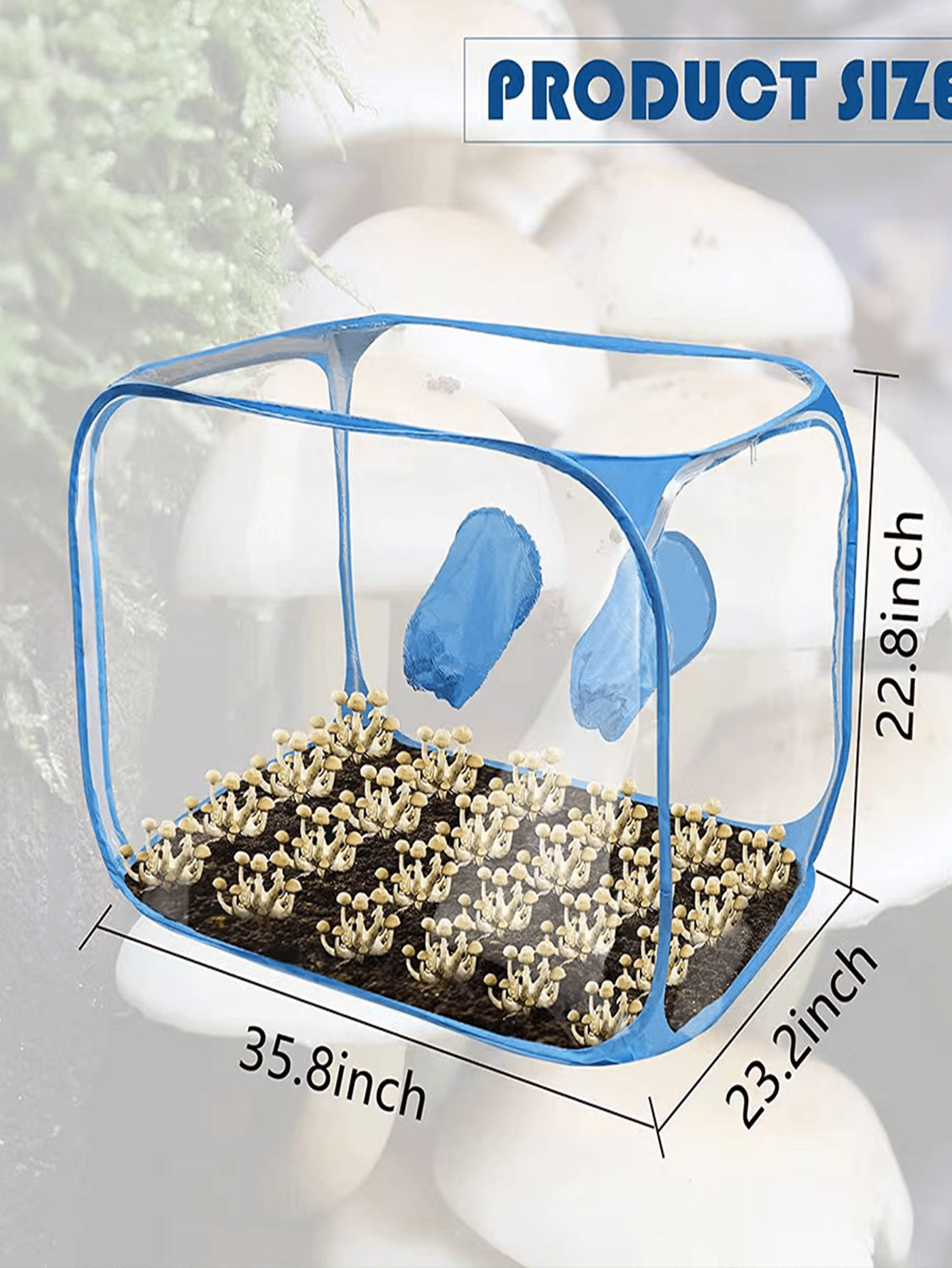 1 PVC Mushroom Growing Static Air Box For Table Tops, Windowsills ...