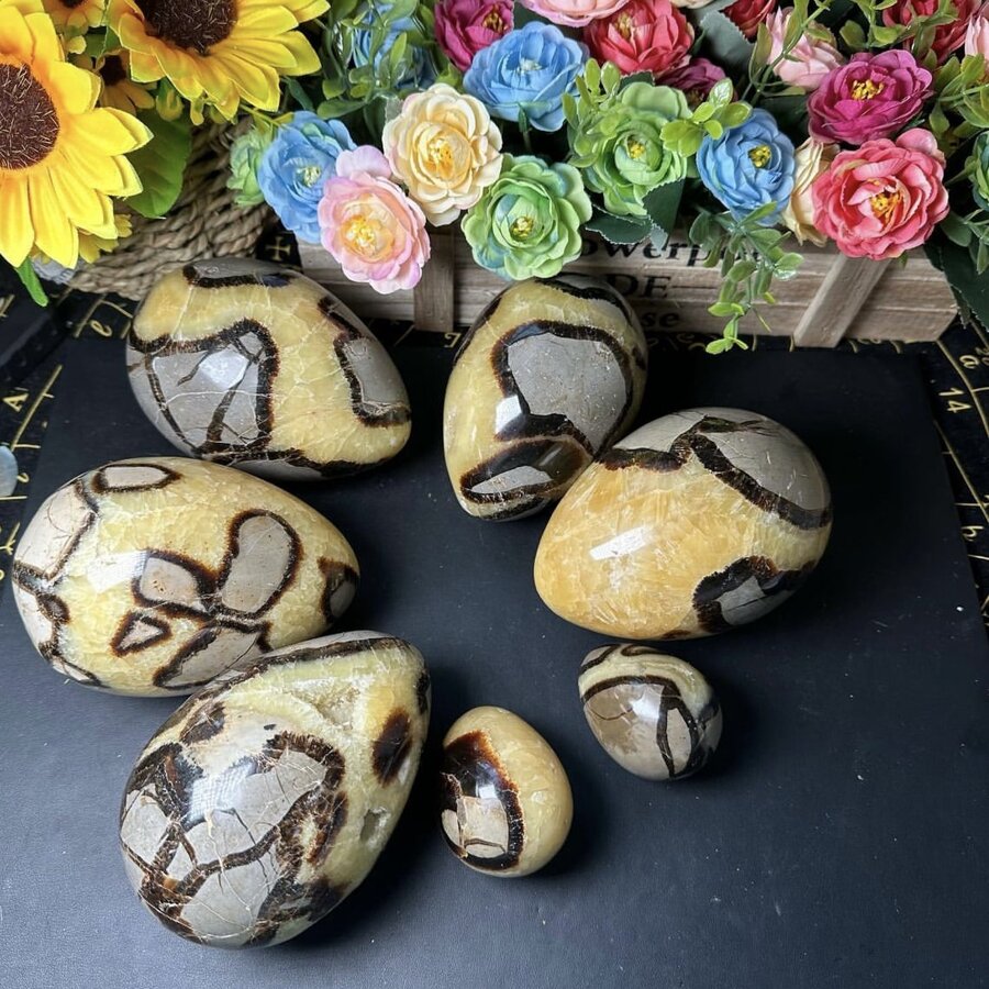 1pc Natural Turtle Back Stone Dragon Egg Statue, Home Decoration Statue ...