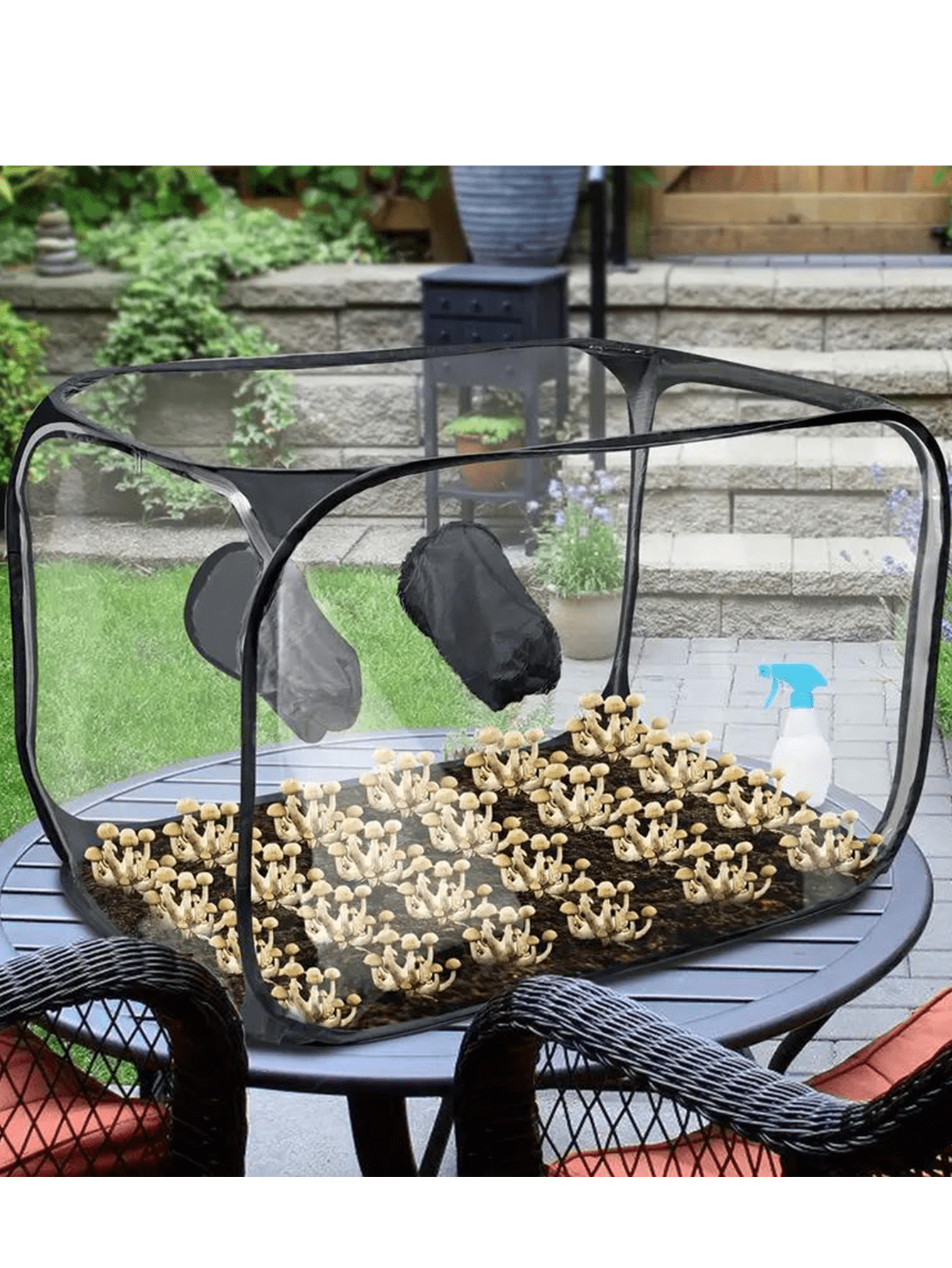 1 PVC Mushroom Growing Static Air Box For Table Tops, Windowsills ...