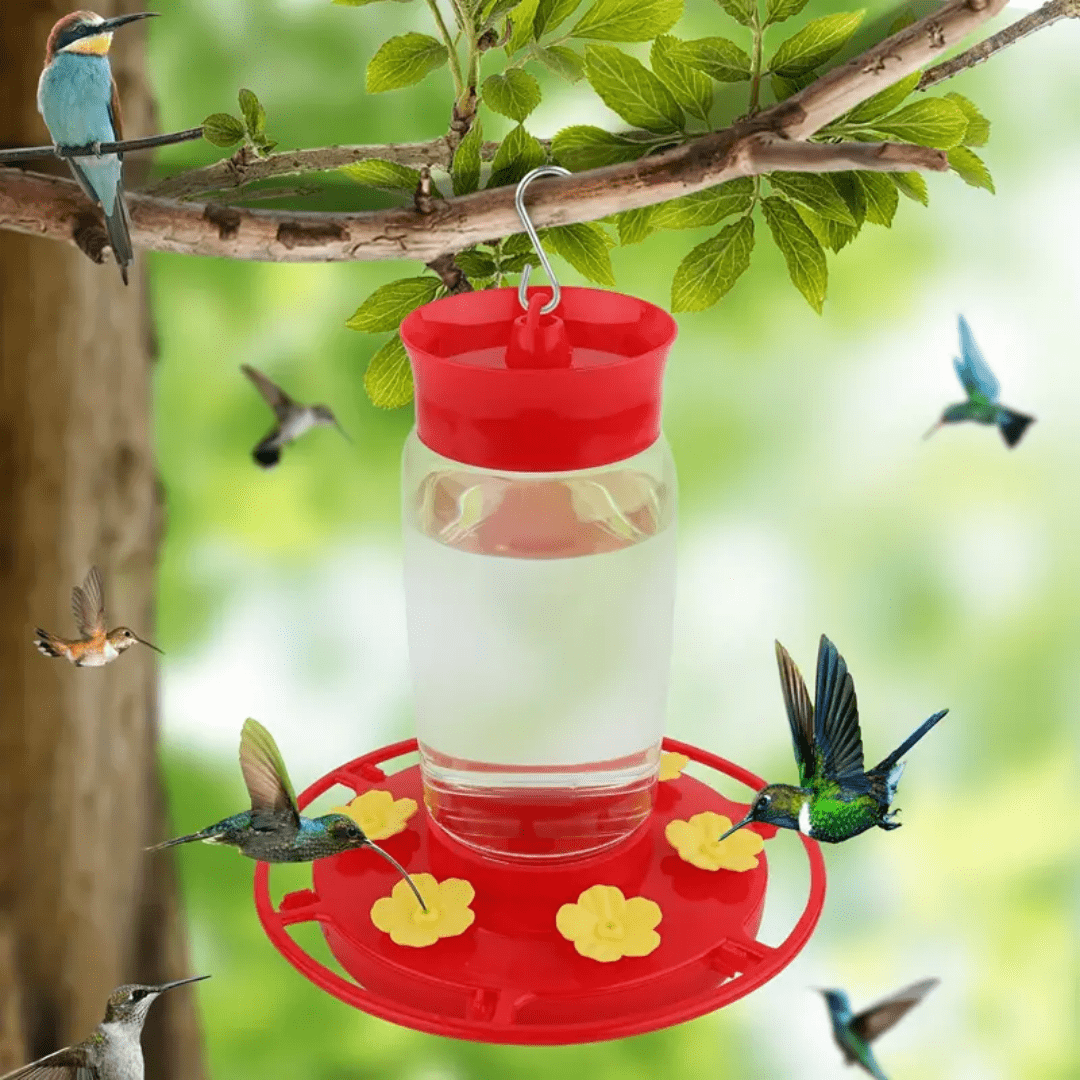 Outdoor Plastic Hummingbird Feeder - With Ant Protection Device - Comes ...