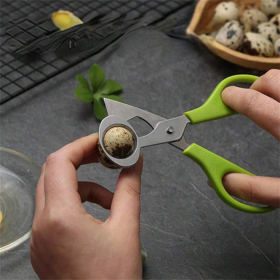 Stainless Steel Quail Egg Cutter Scissors Pigeon Bird Quail Egg Cutter ...