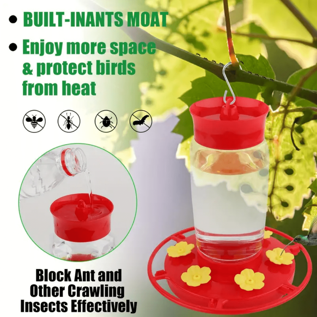 Outdoor Plastic Hummingbird Feeder - With Ant Protection Device - Comes ...