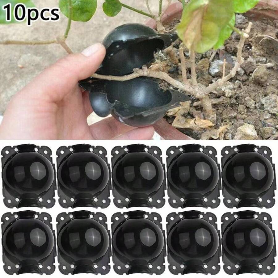 10Pcs Reusable Plant Root Growing Box Cutting Grafting Rooting Ball ...