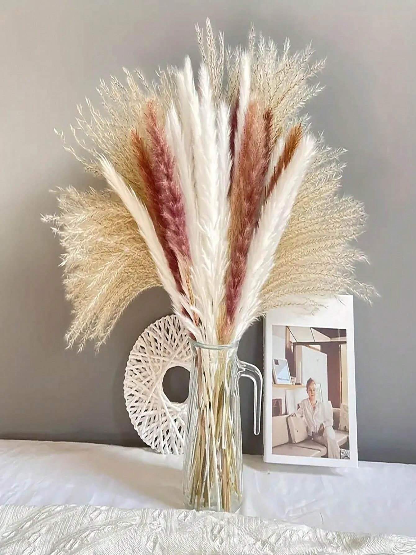 60 Pcs/Set Reeds Pampas Grass Bunny Tails Natural Dried Bouquet, For ...