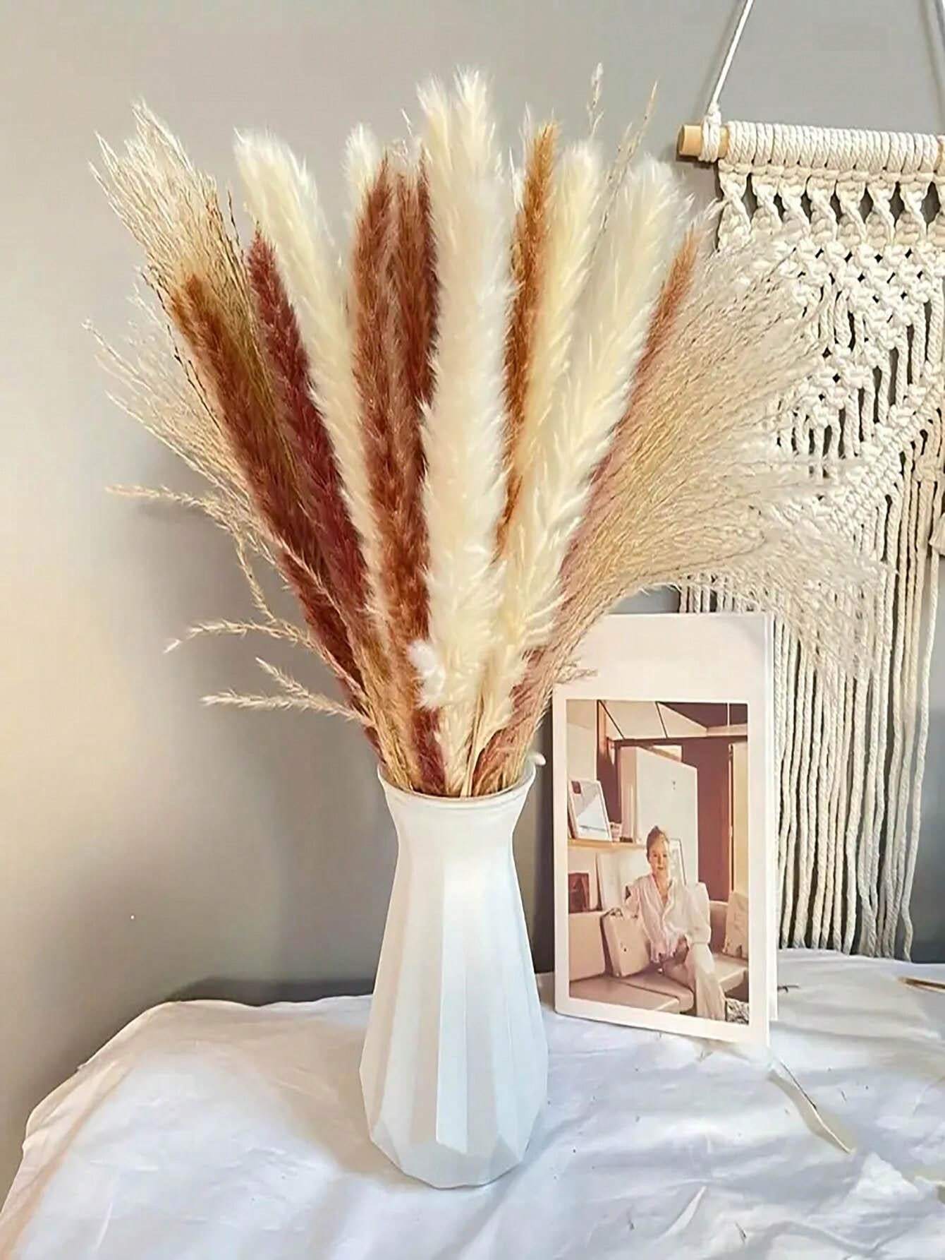 60 Pcs/Set Reeds Pampas Grass Bunny Tails Natural Dried Bouquet, For ...