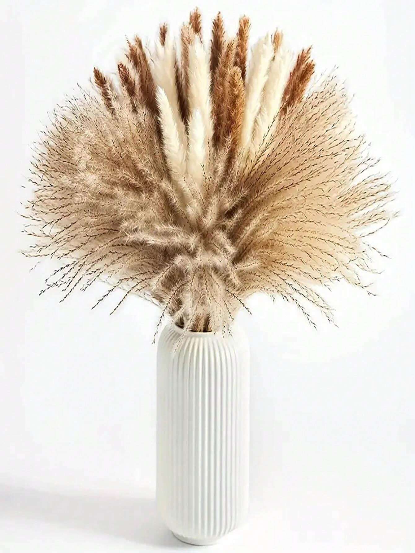 60 Pcs/Set Reeds Pampas Grass Bunny Tails Natural Dried Bouquet, For ...
