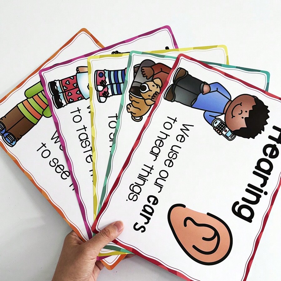 5 PCS Five Senses Posters Chart For Teachers Kids Educational Toy ...
