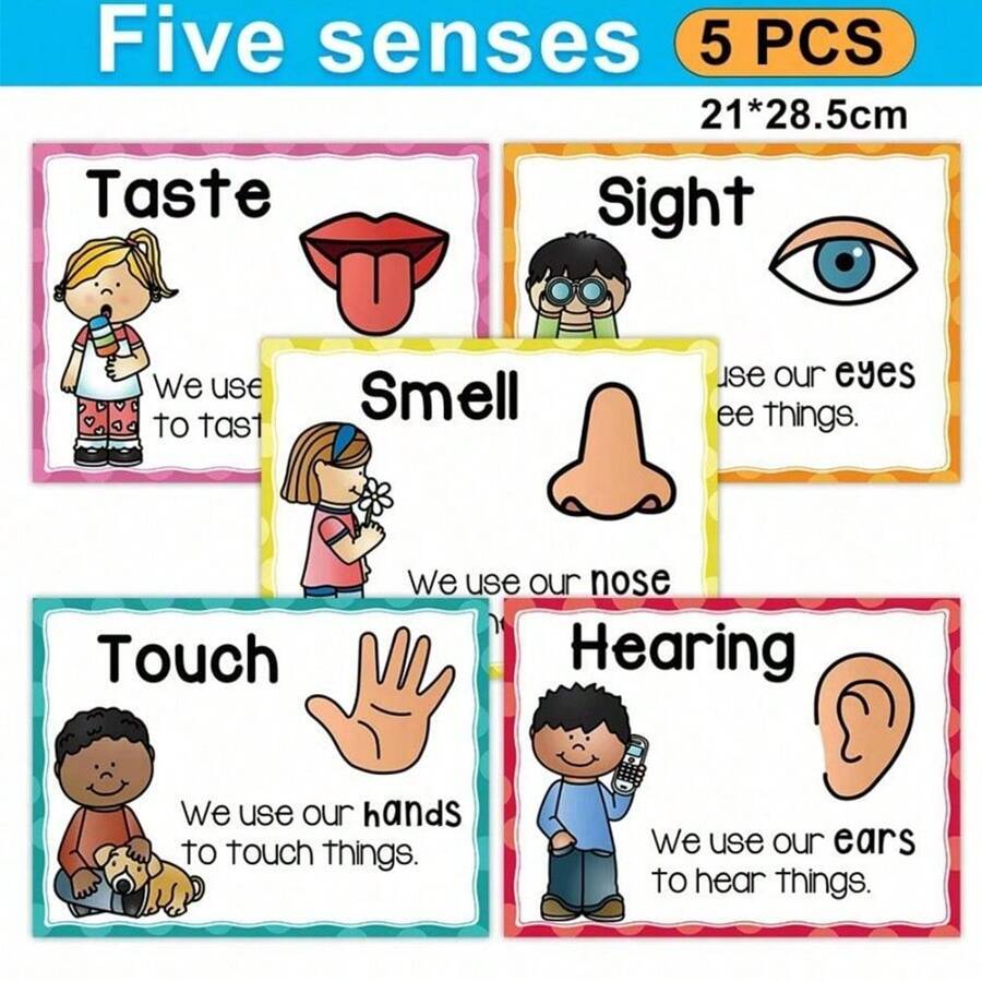 5 PCS Five Senses Posters Chart For Teachers Kids Educational Toy ...