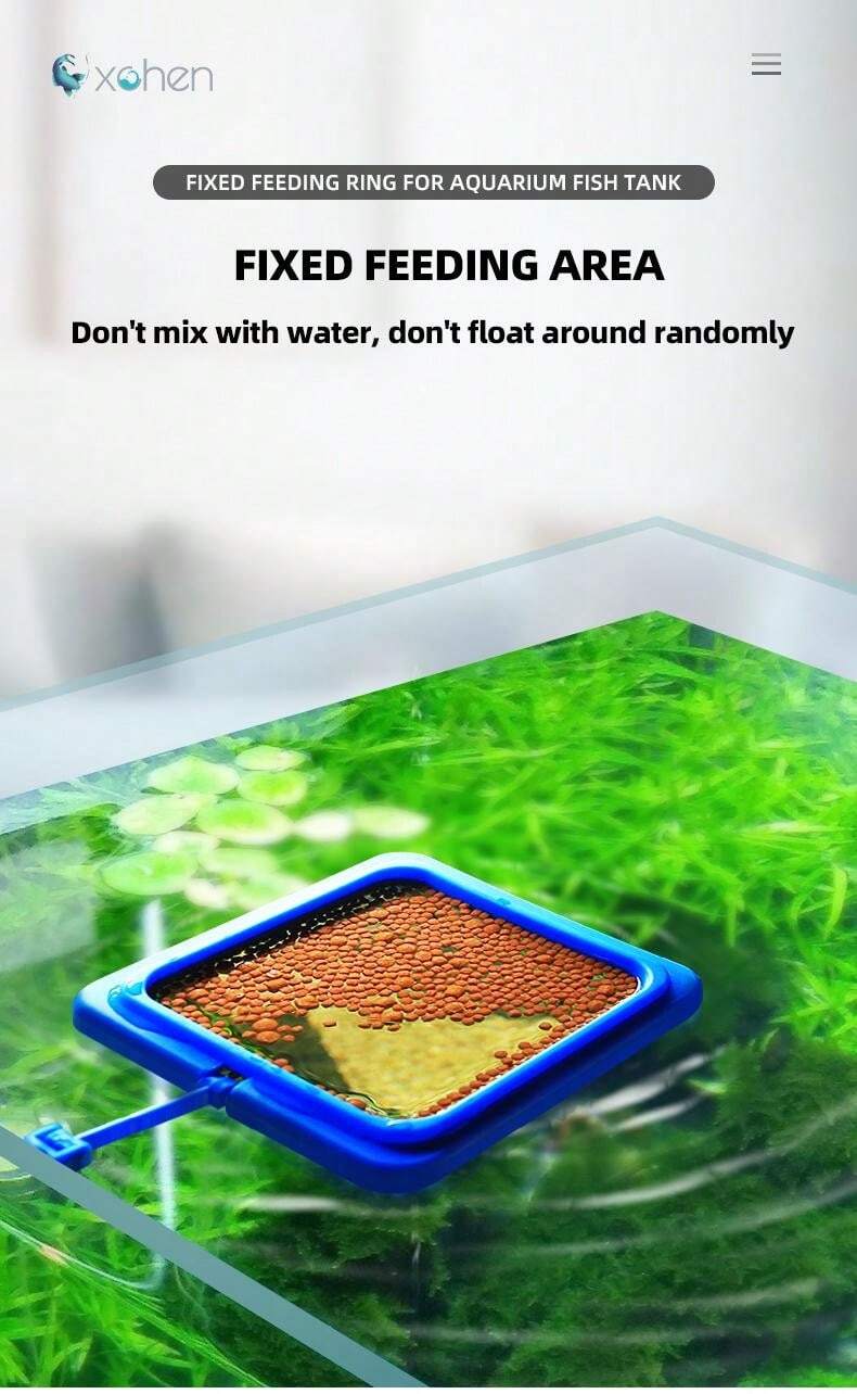 Fish Feeding Circle With Buoyancy Design, Floating And Fixed Round Or ...