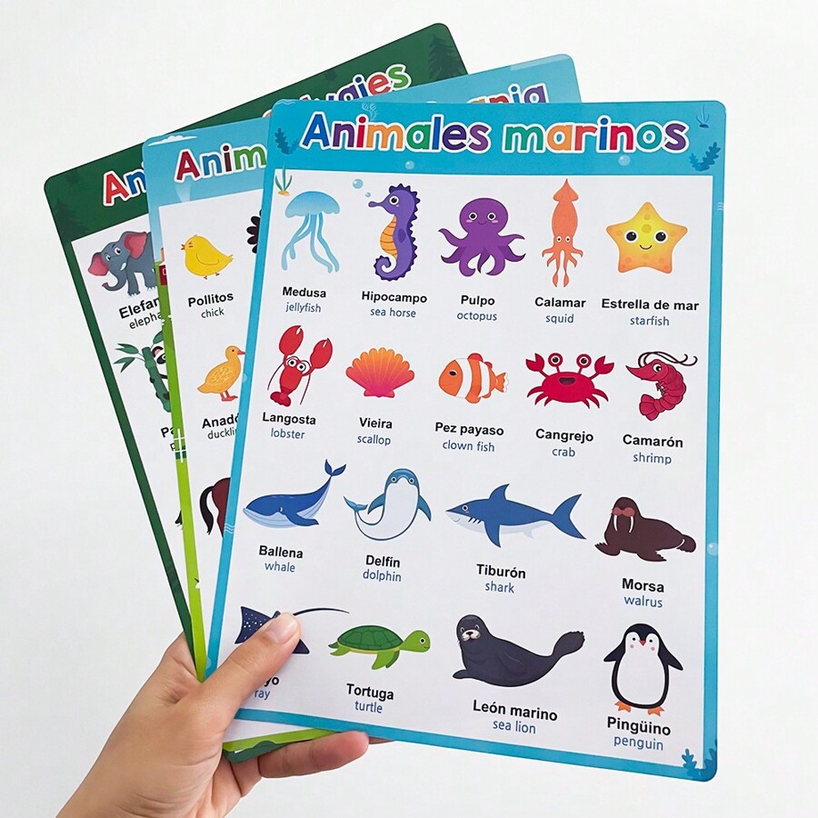 10 Categories Laminated Spanish Learning Chart For Kids School ...