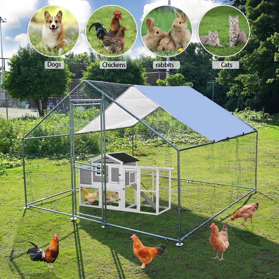 Chicken Run 10x10 FT Walk In Coop For Poultry Dog Rabbit Hen Cage Pen ...